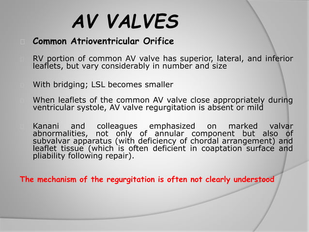 avsd | PPT