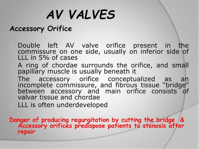 avsd | PPT