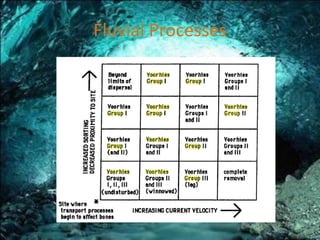 Cave archaeology and post depositional processes affecting taphonomy ...