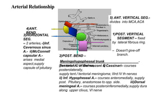 cavernou sinus anatomy.pptx