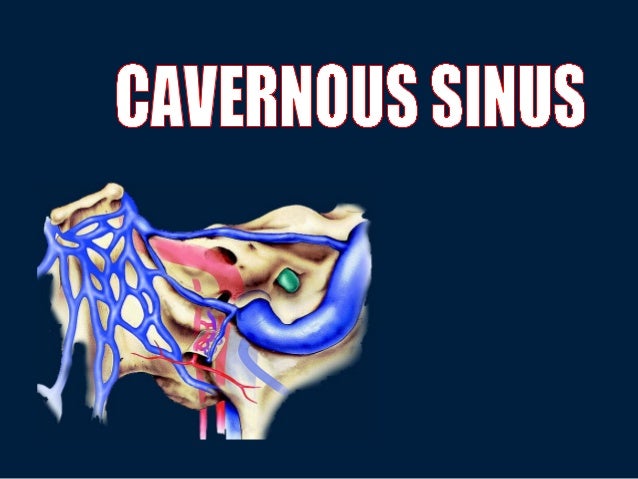 Cavernous Sinus Netter