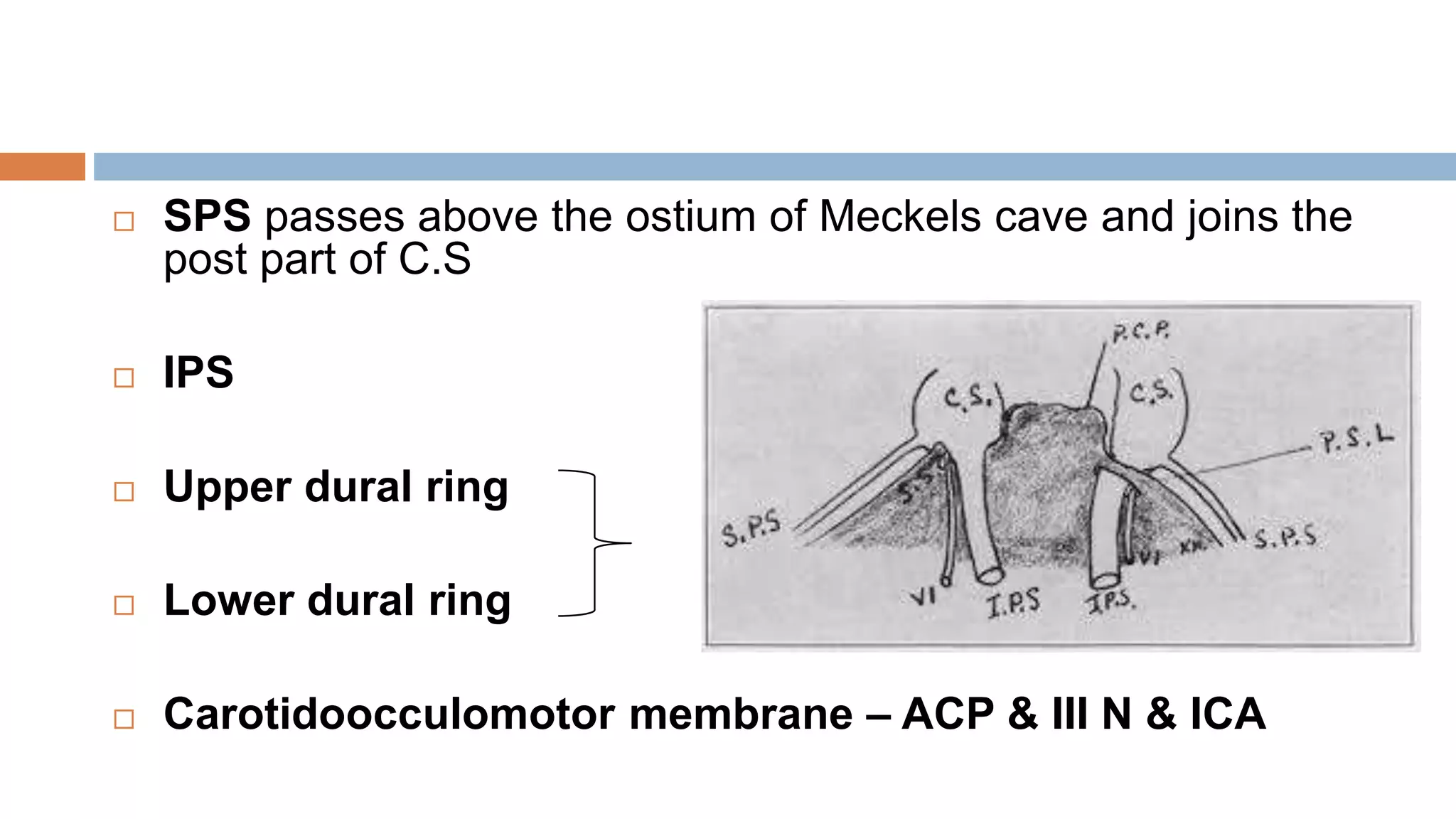 Cavernous sinus | PPTX