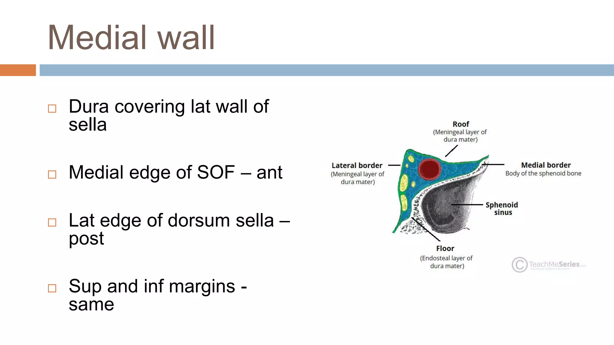 Cavernous sinus | PPTX