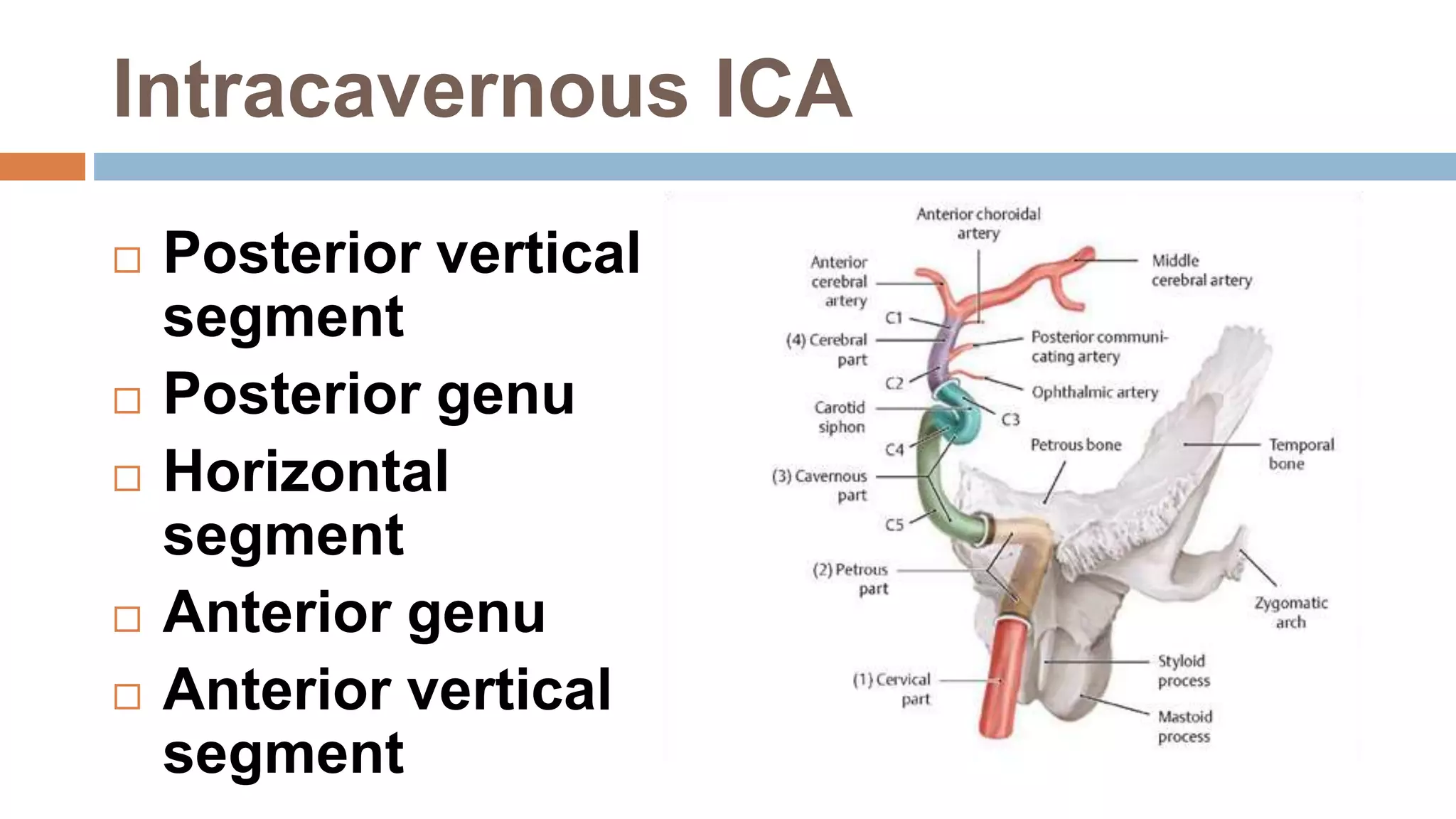 Cavernous sinus | PPTX