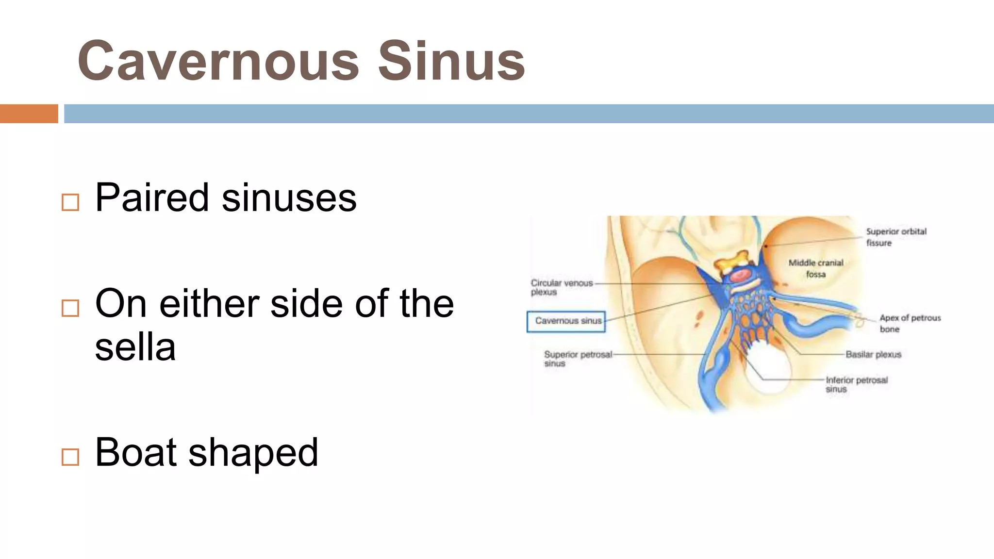 Cavernous sinus | PPTX