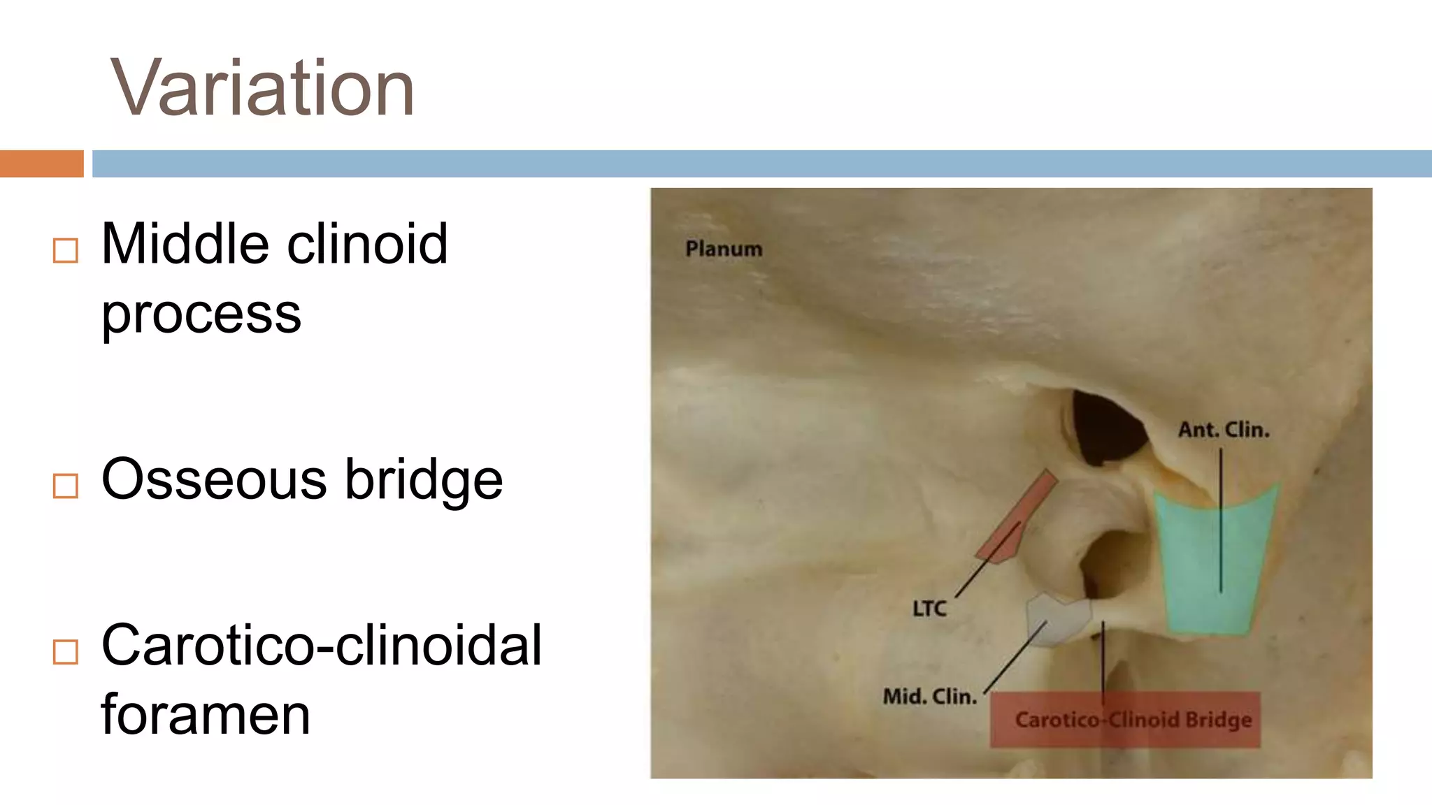 Cavernous sinus | PPTX