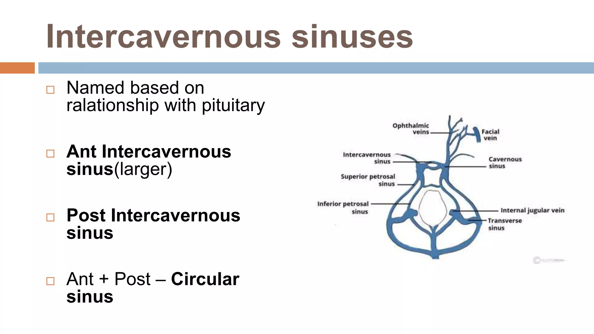Cavernous sinus | PPTX
