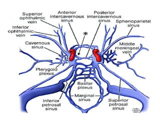 Cavernous sinus | PPTX