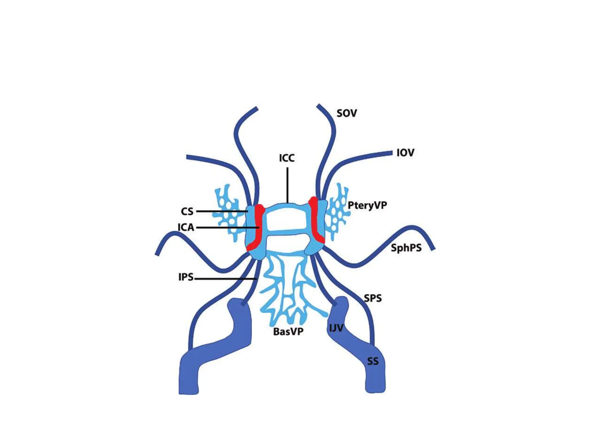 Cavernous sinus anatomy and clinical significance | PPTX