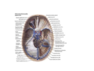 Cavernous sinus anatomy and clinical significance | PPTX