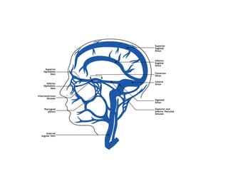 Cavernous sinus anatomy and clinical significance | PPTX