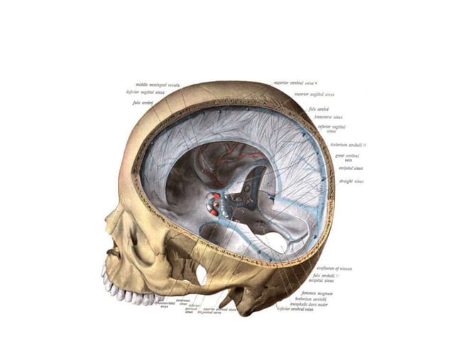 Cavernous sinus anatomy and clinical significance | PPTX
