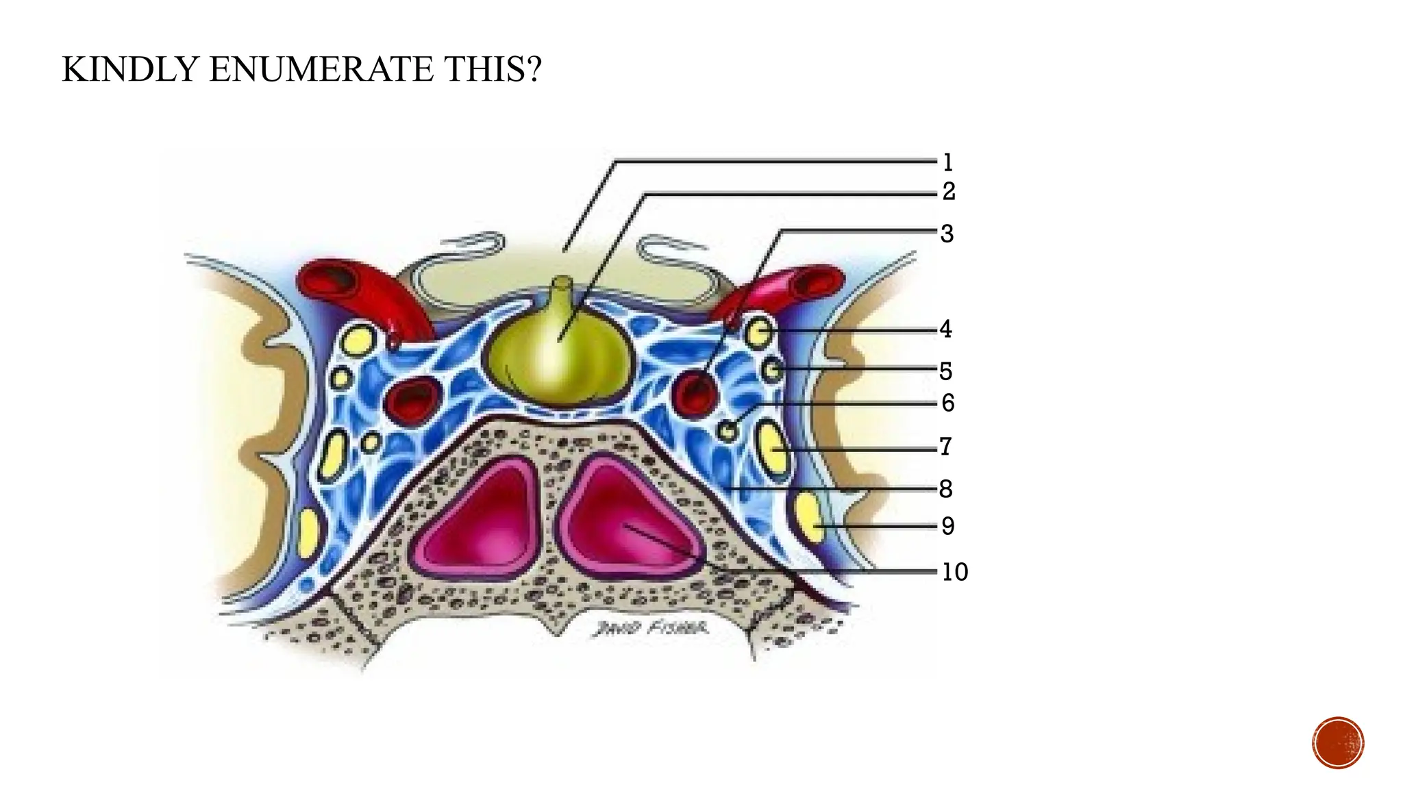 cavernous sinus anatomy and its contents.pptx