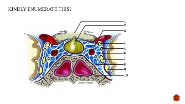 cavernous sinus anatomy and its contents.pptx