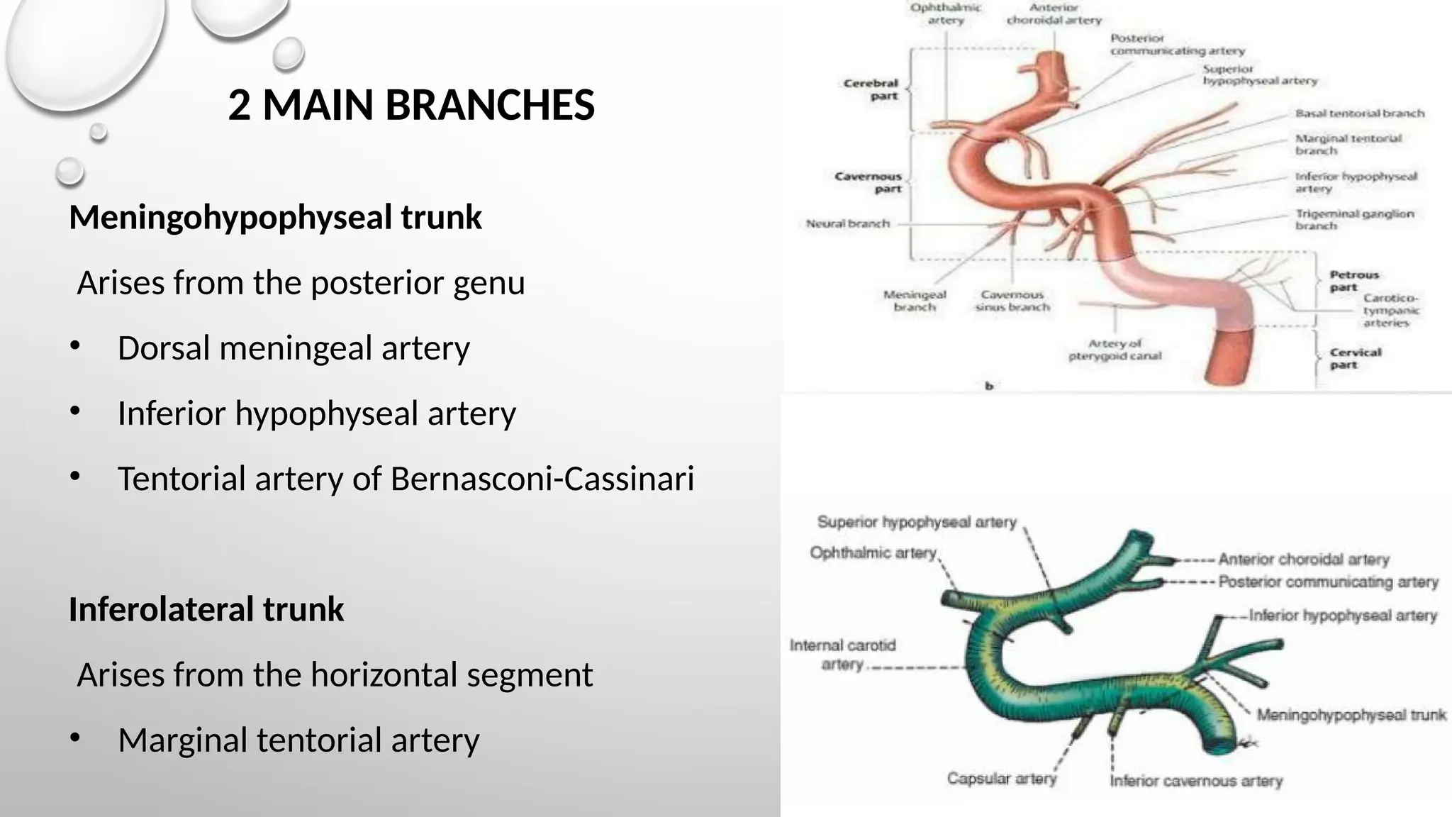 Cavernous Sinus Anatomy and applied .pptx