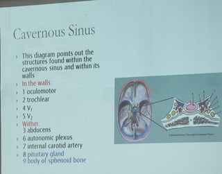cavernous sinus_240228_ghfdhgsgh145554.pdf