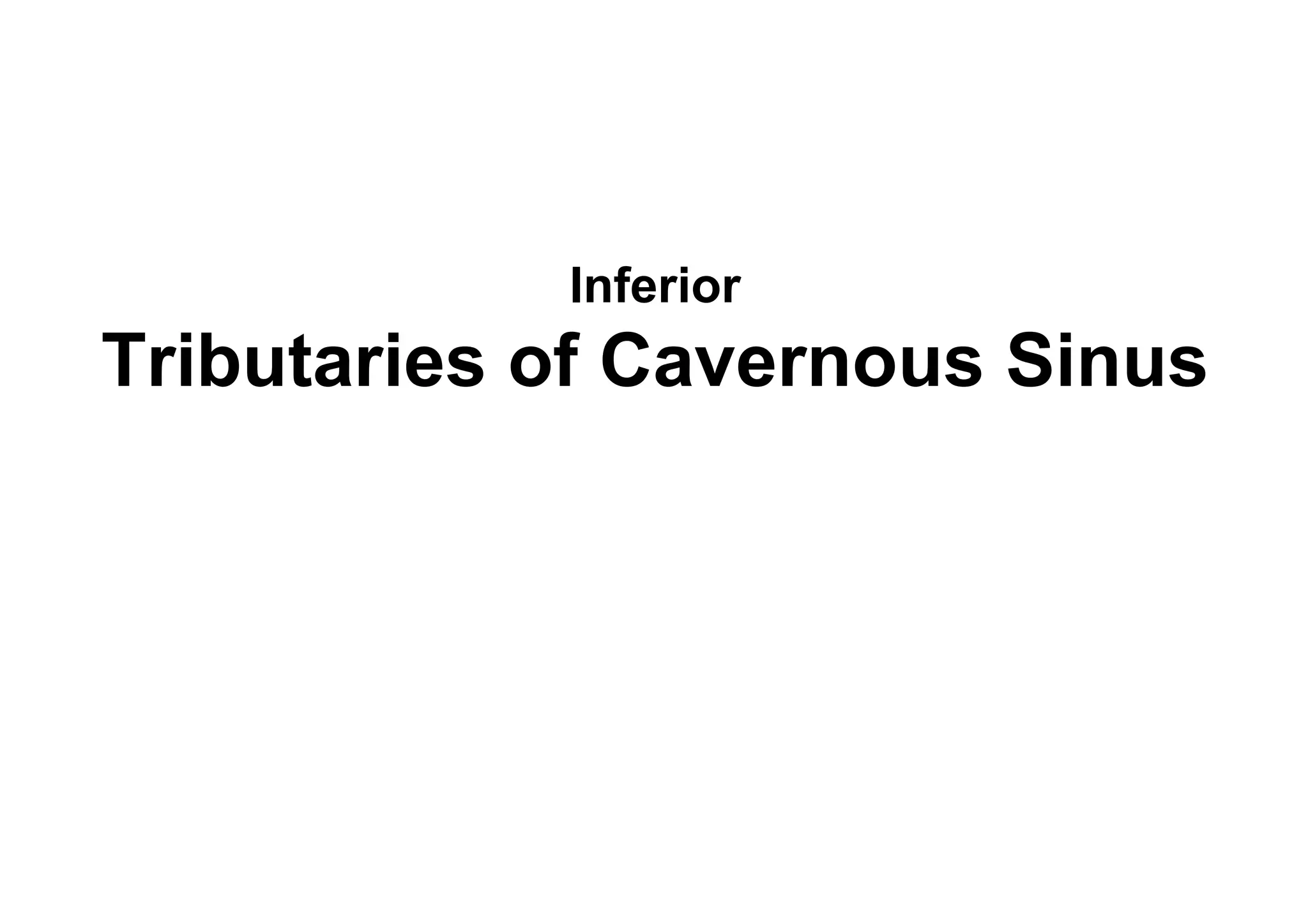 Cavernous sinus anatomy | PDF
