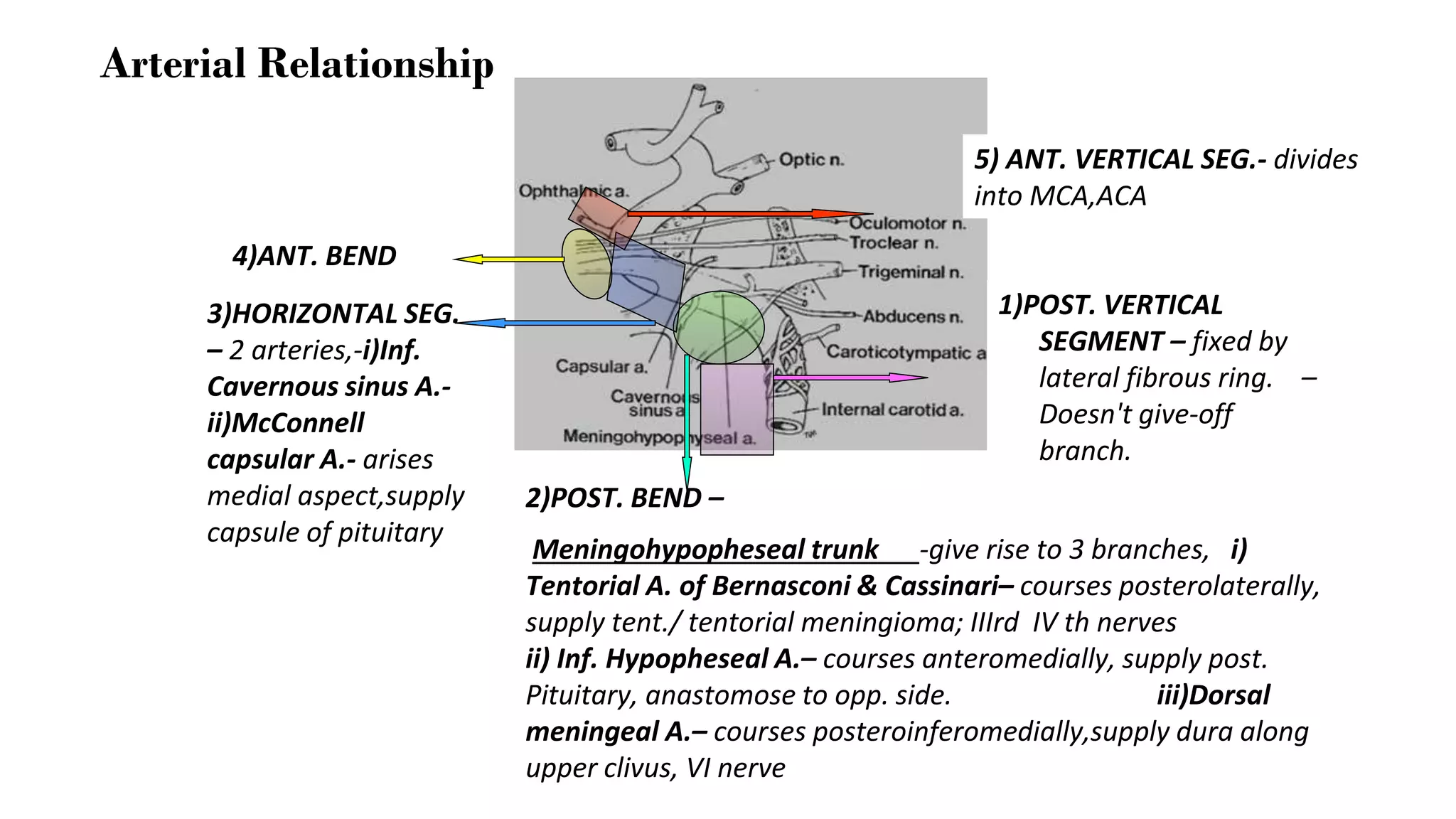 Cavernous sinus-ANATOMY AND SURGICAL APPROACHES | PPTX