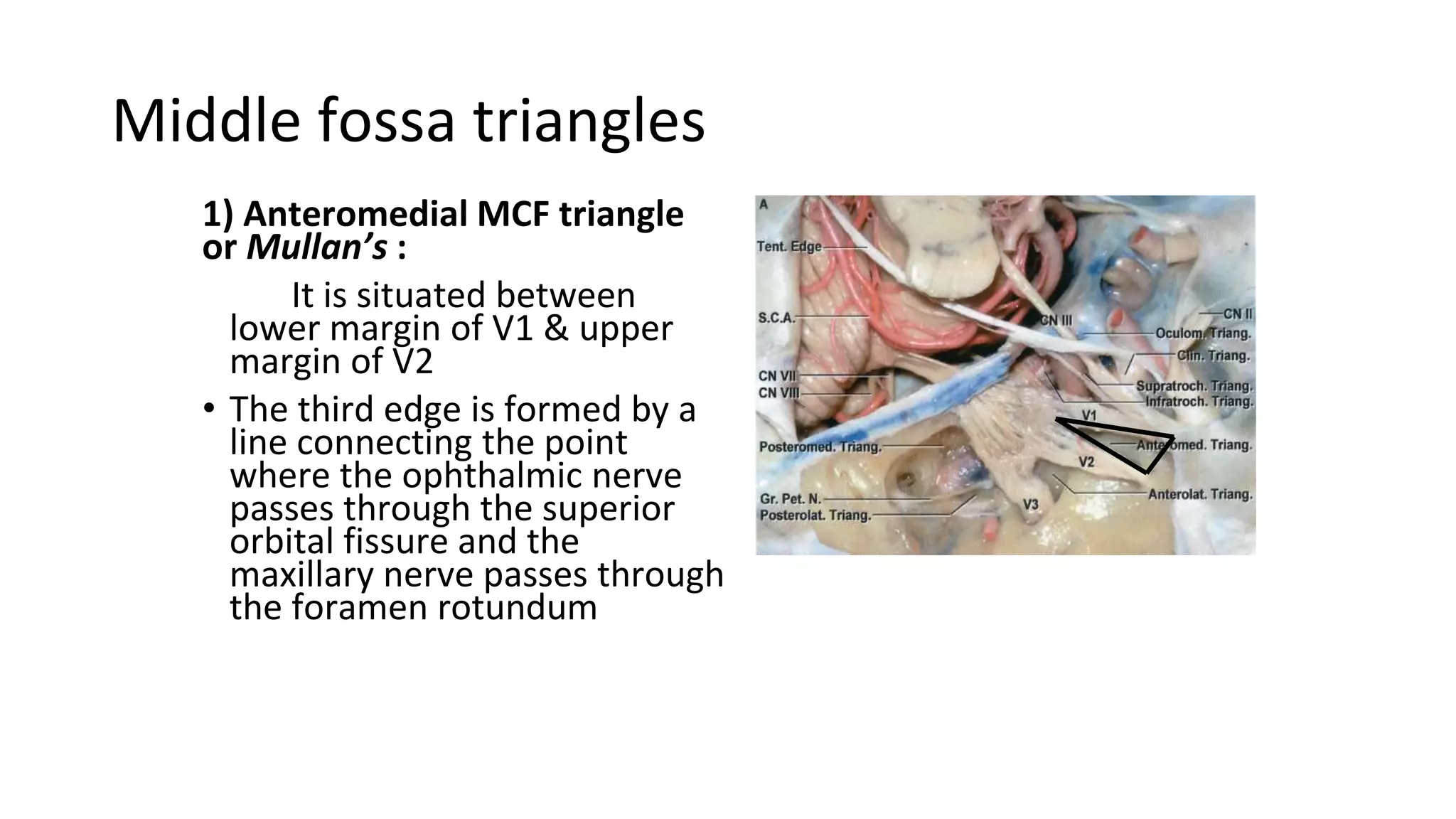 Cavernous sinus-ANATOMY AND SURGICAL APPROACHES | PPTX