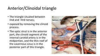 Cavernous sinus-ANATOMY AND SURGICAL APPROACHES | PPT