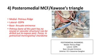 Cavernous sinus-ANATOMY AND SURGICAL APPROACHES | PPT