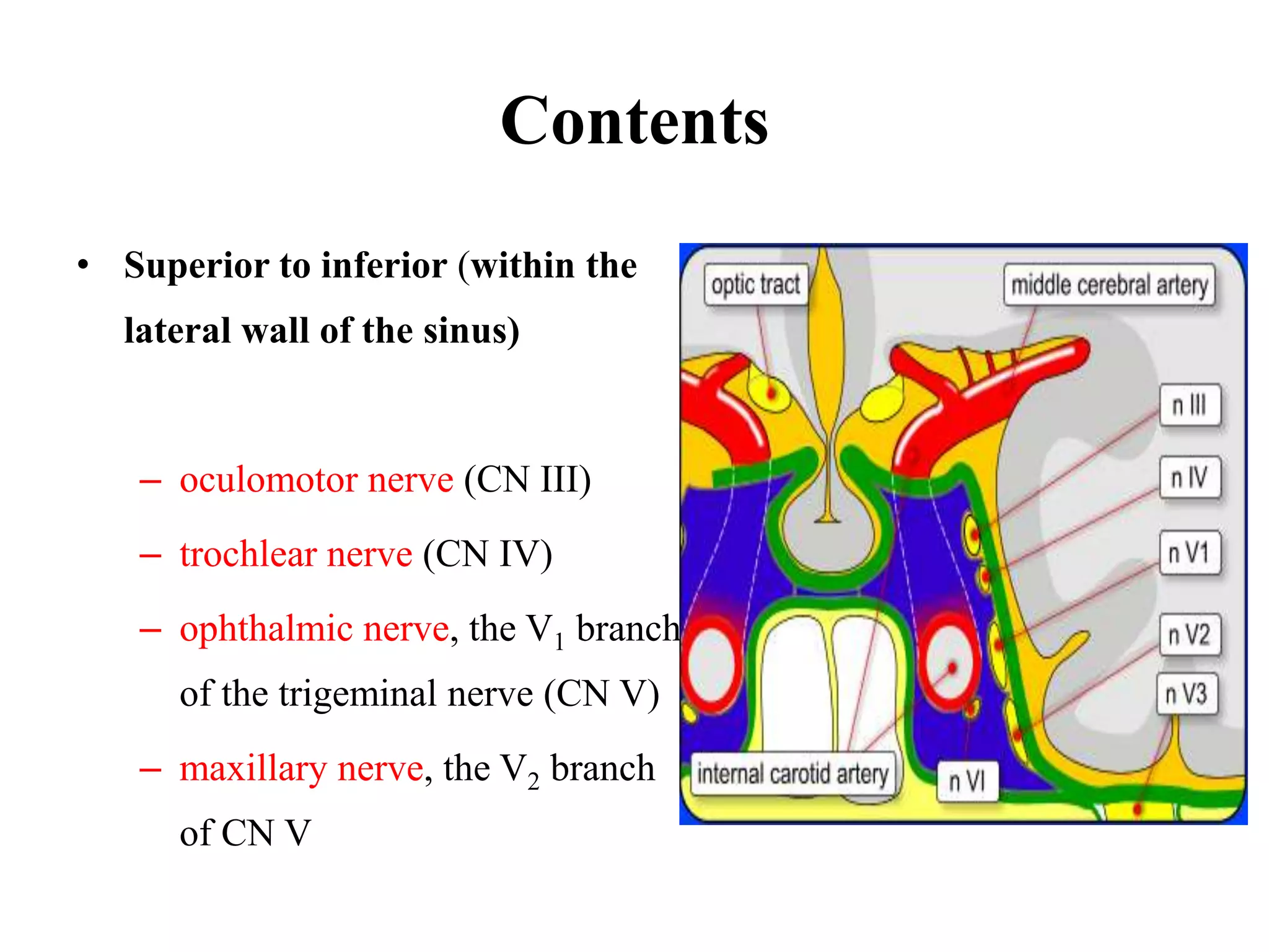 Cavernous sinus thrombosis.pdf ppt | PPTX