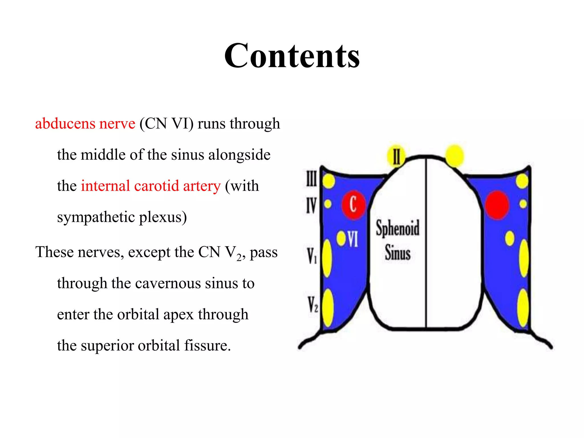 Cavernous sinus thrombosis.pdf ppt | PPTX