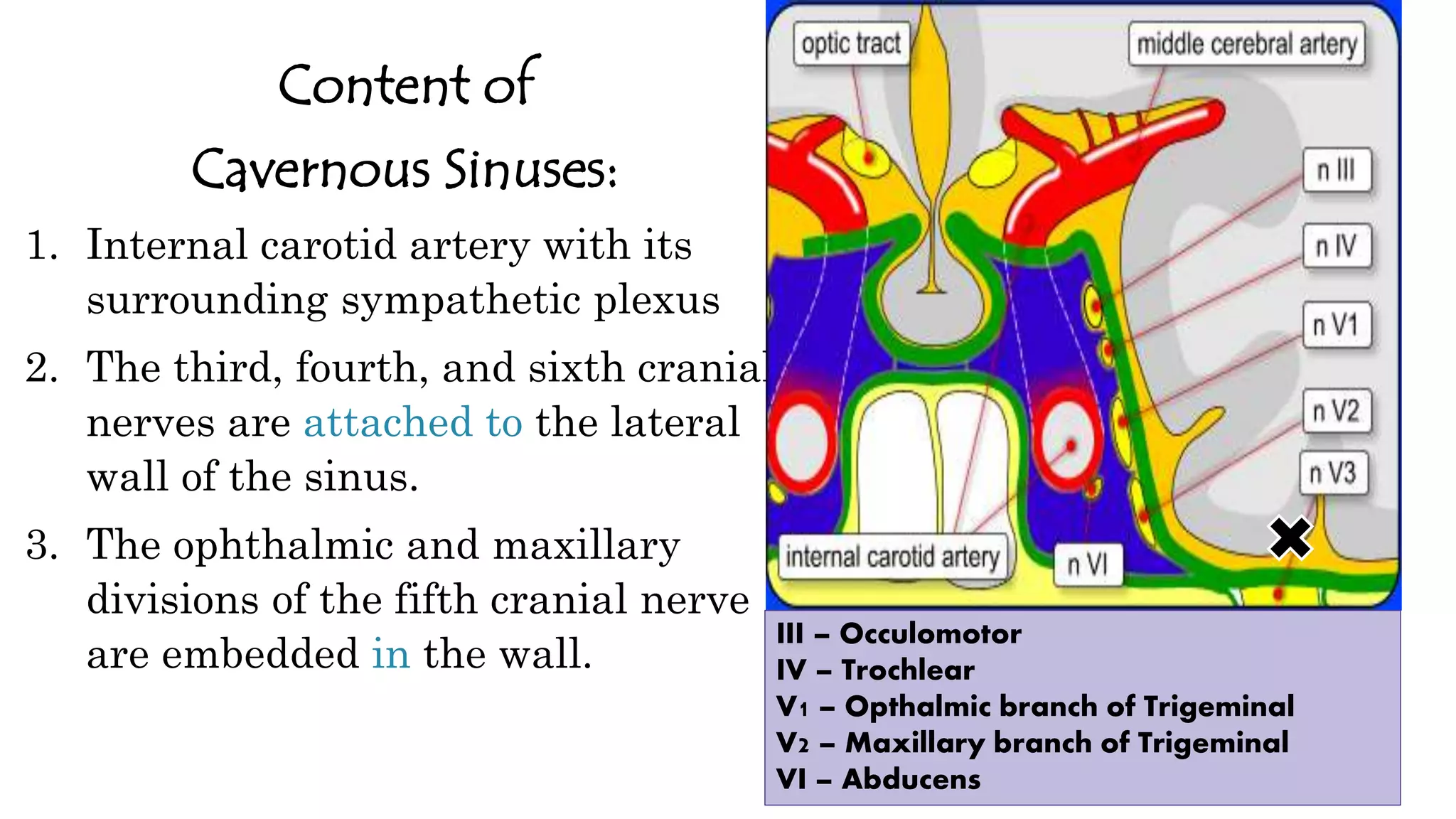 Cavernous Sinus Thrombosis | PPTX