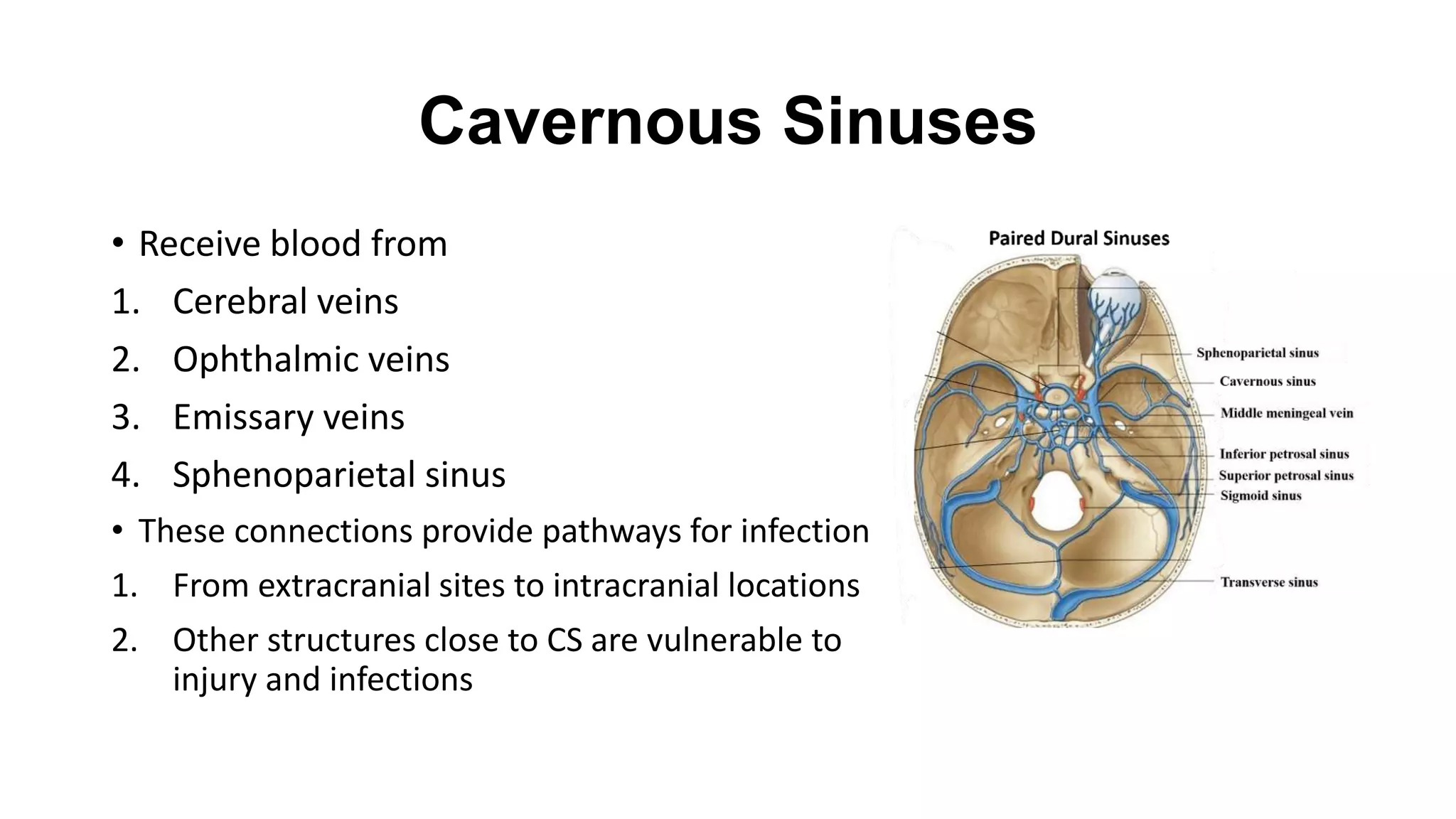 Cavernous Sinus Thrombosis | PPTX