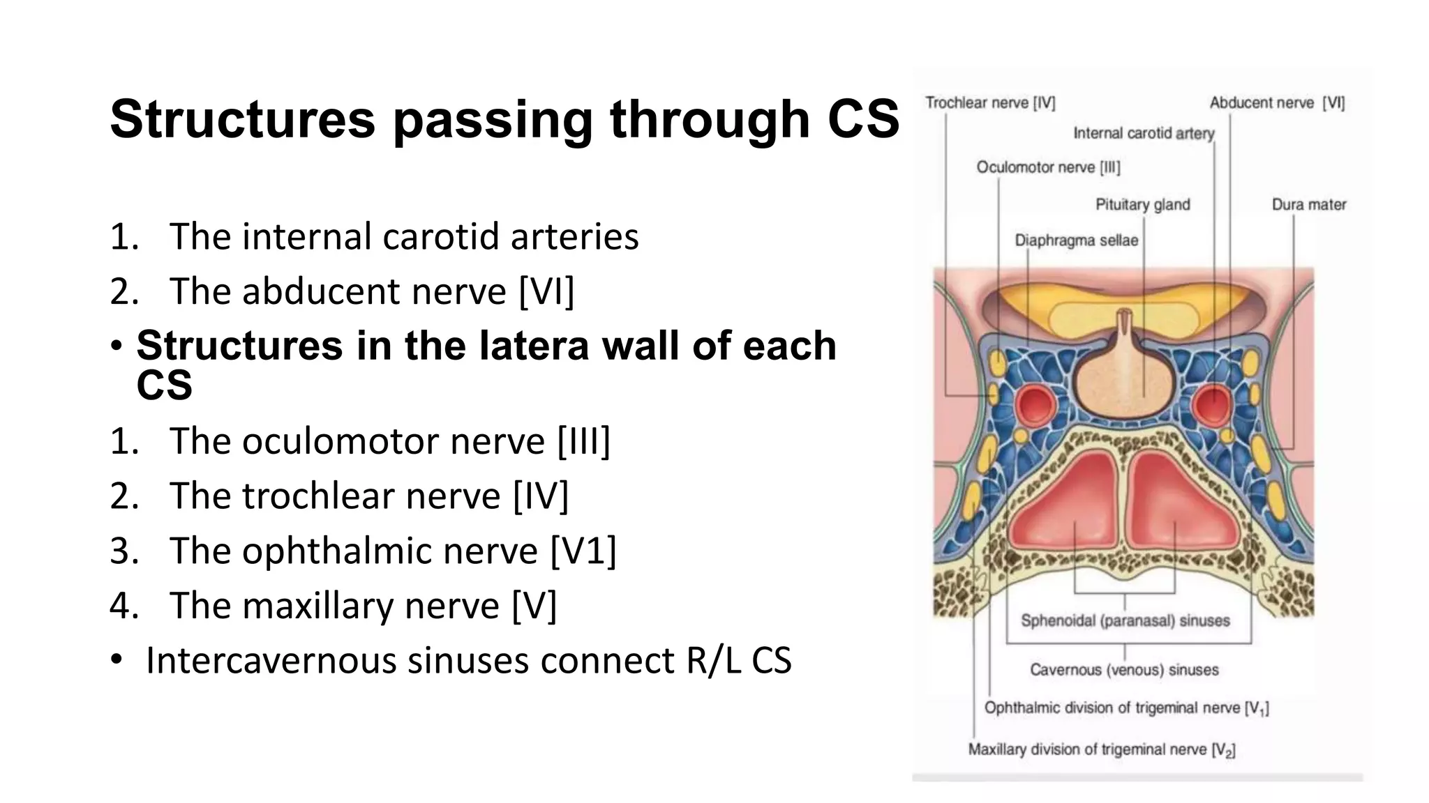 Cavernous Sinus Thrombosis | PPTX