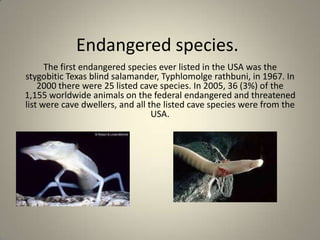 Caves geography pp | PPTX