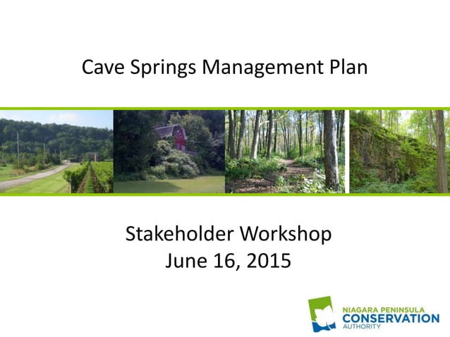 Cave springs master plan ppt for stakeholder workshop june 2015 | PPT
