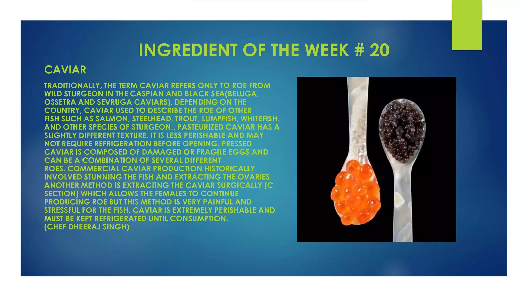 Caviar | PPTX