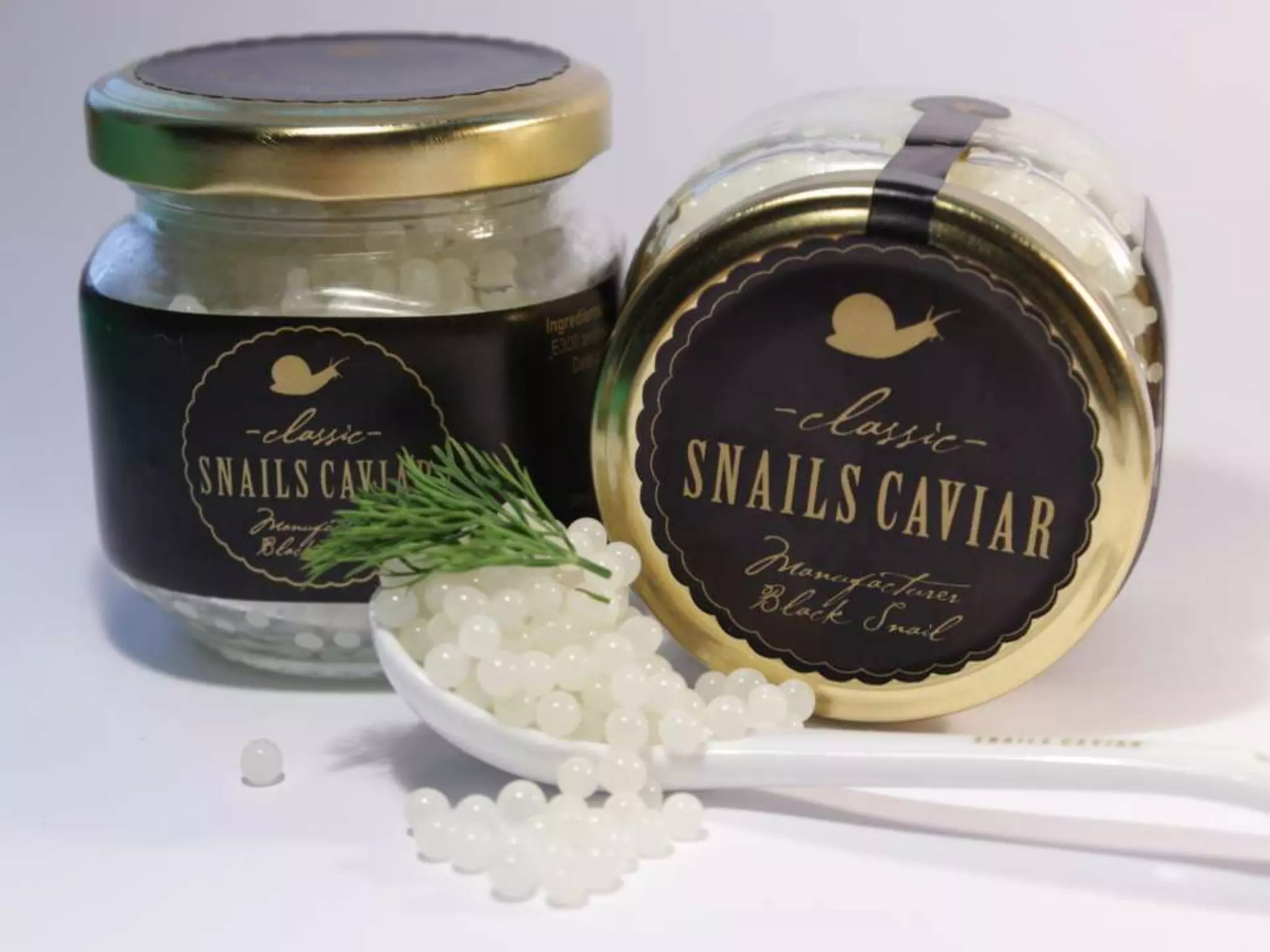 Caviar presentation - alpha | PPSX