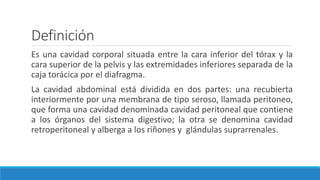 Cavidad abdominal | PPTX