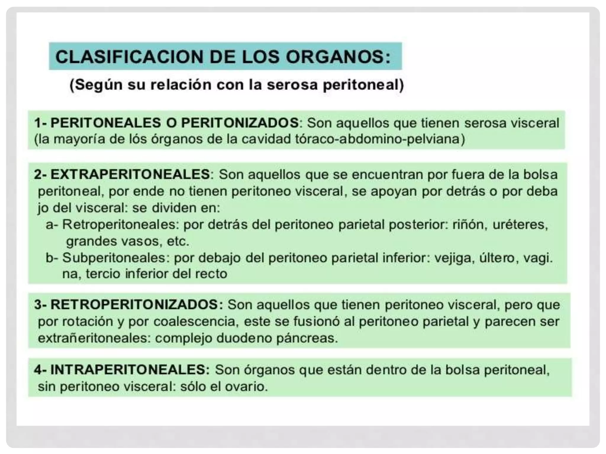 Cavidad abdominal y peritoneo | PPT