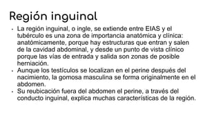 cavidad abdominal.pdf