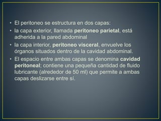 Cavidad abdominal y peritoneo | PPTX