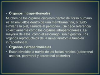 Cavidad abdominal y peritoneo | PPTX