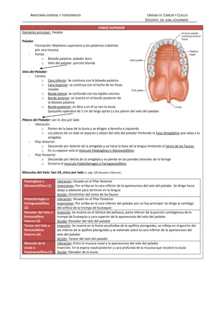 Cavidad bucal | PDF