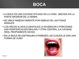 Cavidad bucal | PPTX