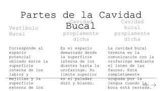 Cavidad Bucal anatomía apuntes para exponer.pptx
