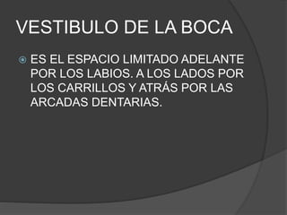 CAVIDAD BUCAL | PPTX