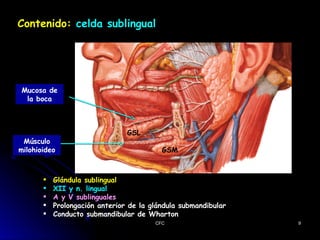 Cavidad bucal anatomía - presentación cpi medicina | PDF