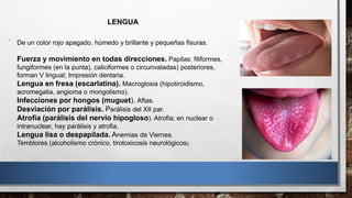 CAVIDAD BUCAL DE CORREGIDO DE WALTER VARGAS.pptx