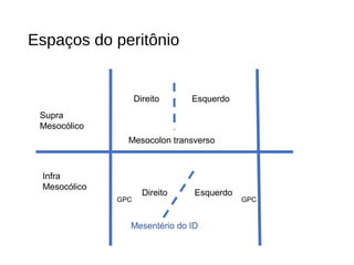 Parede Abdominal e Cavidade Peritoneal | PPT