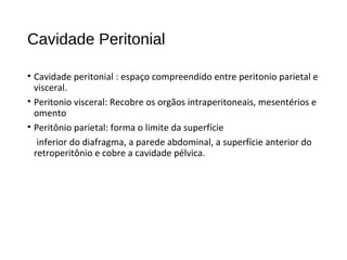 Parede Abdominal e Cavidade Peritoneal | PPT