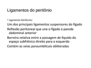 Parede Abdominal e Cavidade Peritoneal | PPT