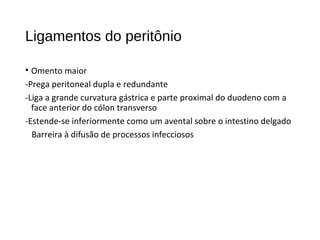 Parede Abdominal e Cavidade Peritoneal | PPT