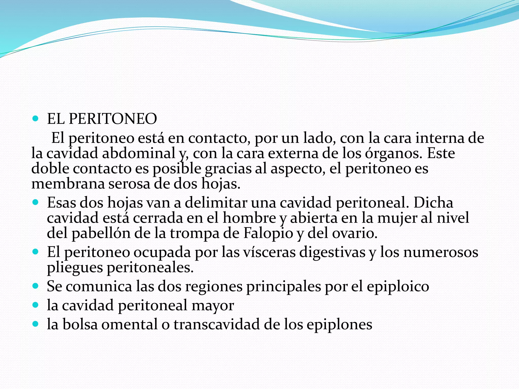 Cavidades ABDOMINALES Y PERITONEALES | PPT